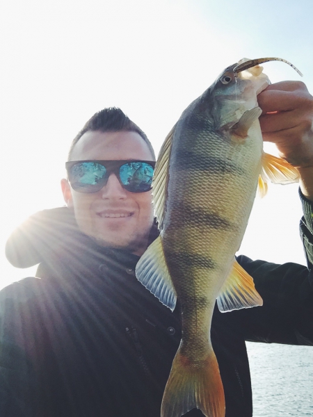 Keitech 3" Shad Impact Gummifisch Pin-Tail, CAMO-Tackle Shop